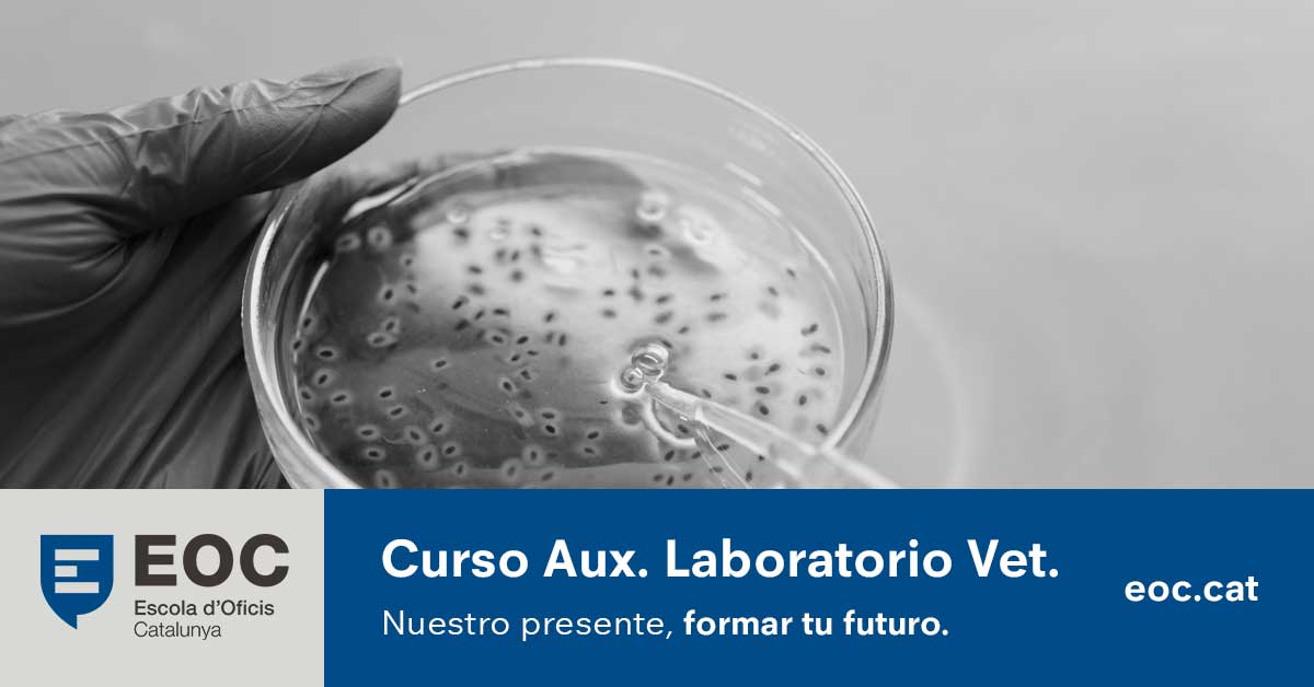 Auxiliar de Laboratorio Veterinario | Formación Veterinaria EOC