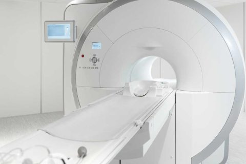 ¿Qué es un TAC veterinario o tomografía computarizada? | EOC